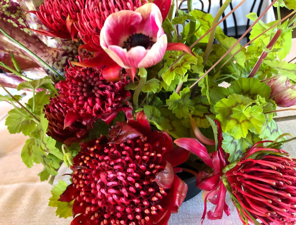 Bowral Long Lunch – Chelsea Gardens